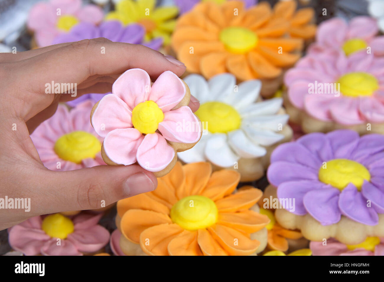 Fancy home made spring flowers sugar cookies with royal icing petals ...