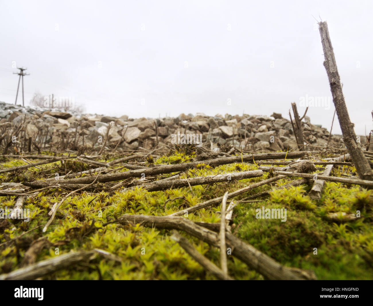sticks on the background of stones and power lines Stock Photo - Alamy