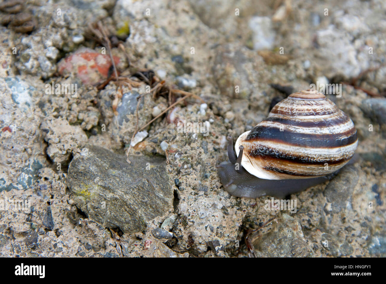 Slimy rocks hi-res stock photography and images - Alamy