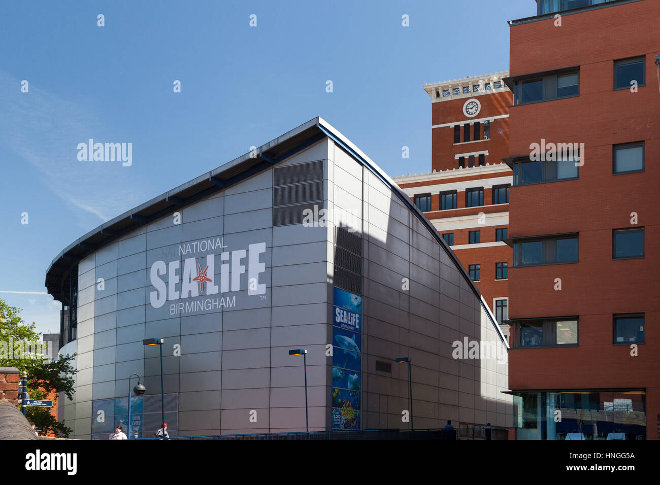 National sea life centre birmingham hi-res stock photography and images ...