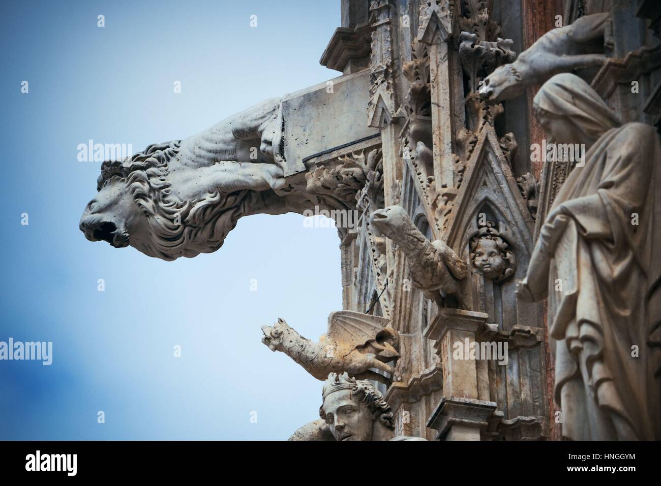 Siena Cathedral gargoyle closeup as the famous landmark in medieval ...