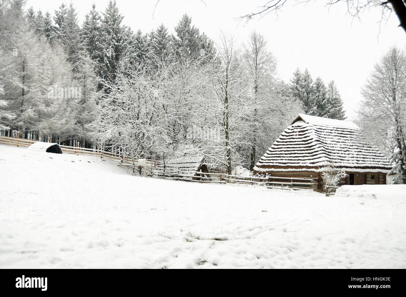 Authentic ukrainian village with wooden huts and fences in winter ...