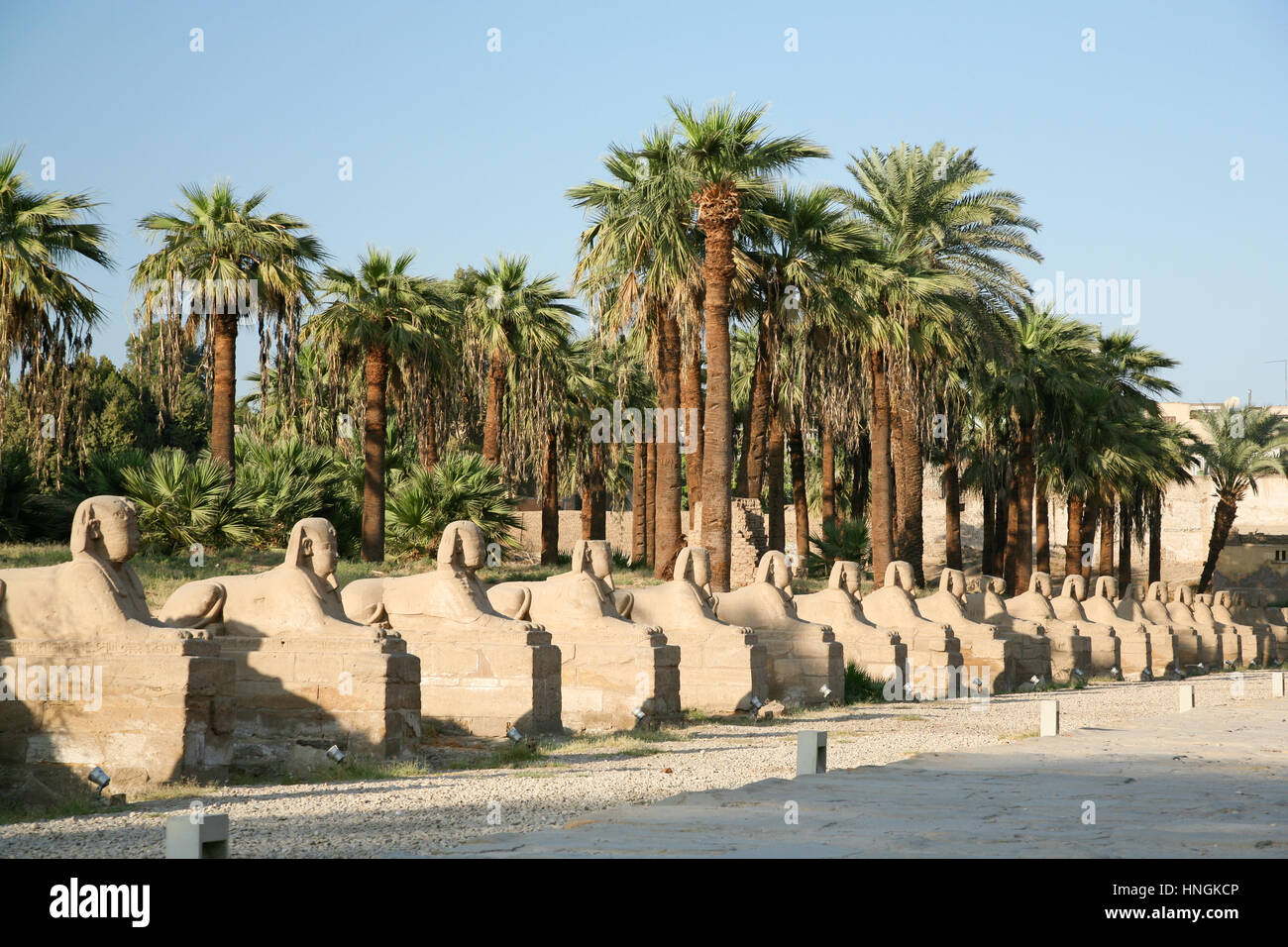 landmark sculpture of row sphinx statues human-headed with pharaoh ...