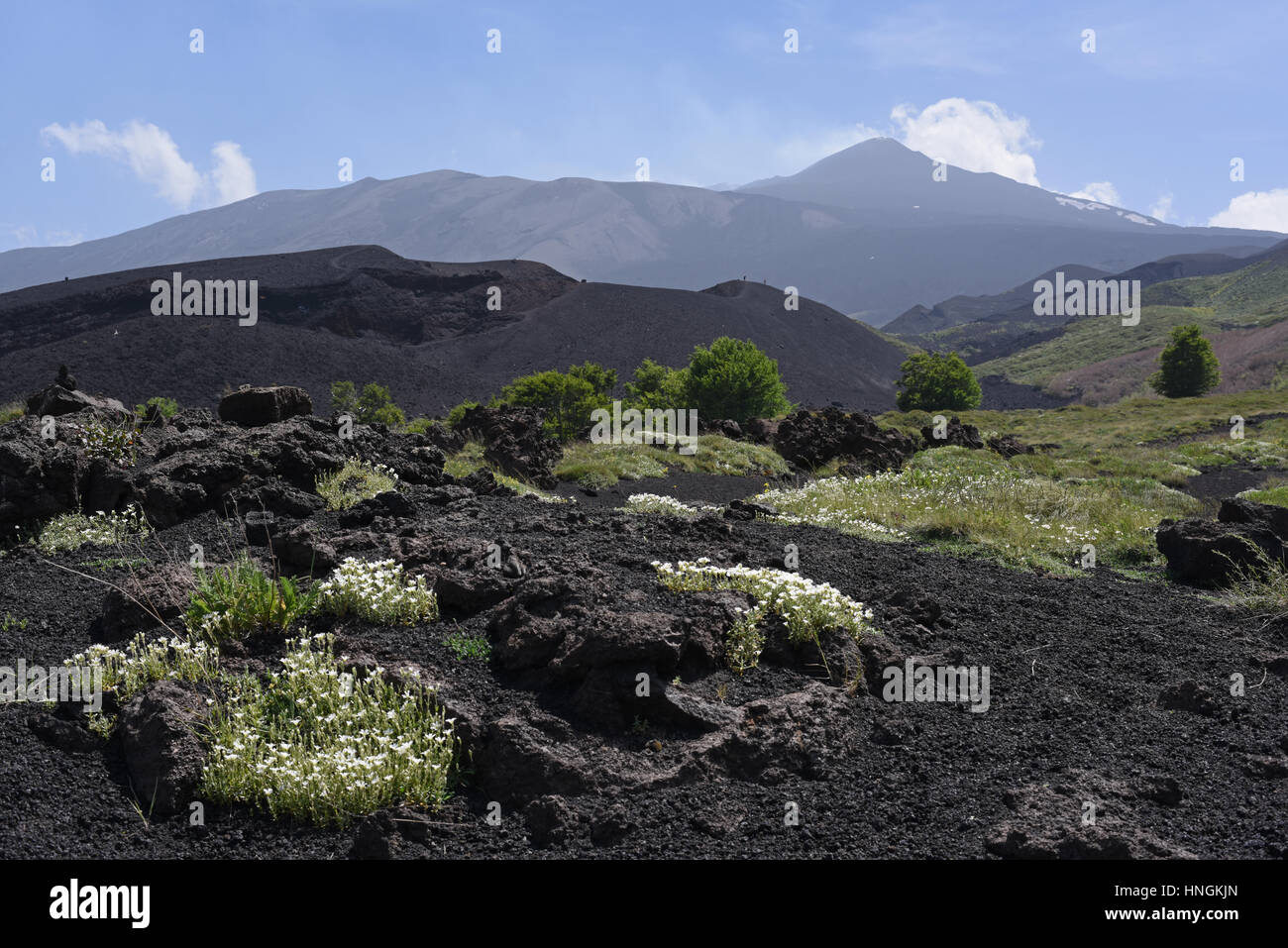 Mount Etna, Sicily Stock Photo - Alamy