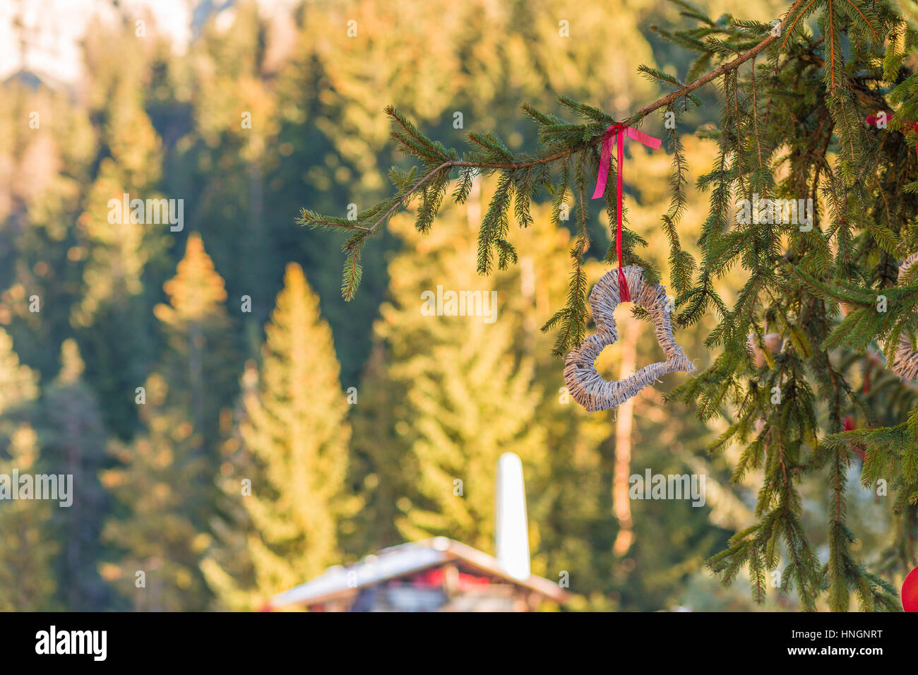 Paper heart hanging from tree hi-res stock photography and images - Alamy
