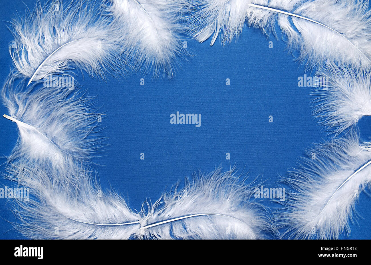 Abstract composition of white feathers on blue background. Frame Stock ...