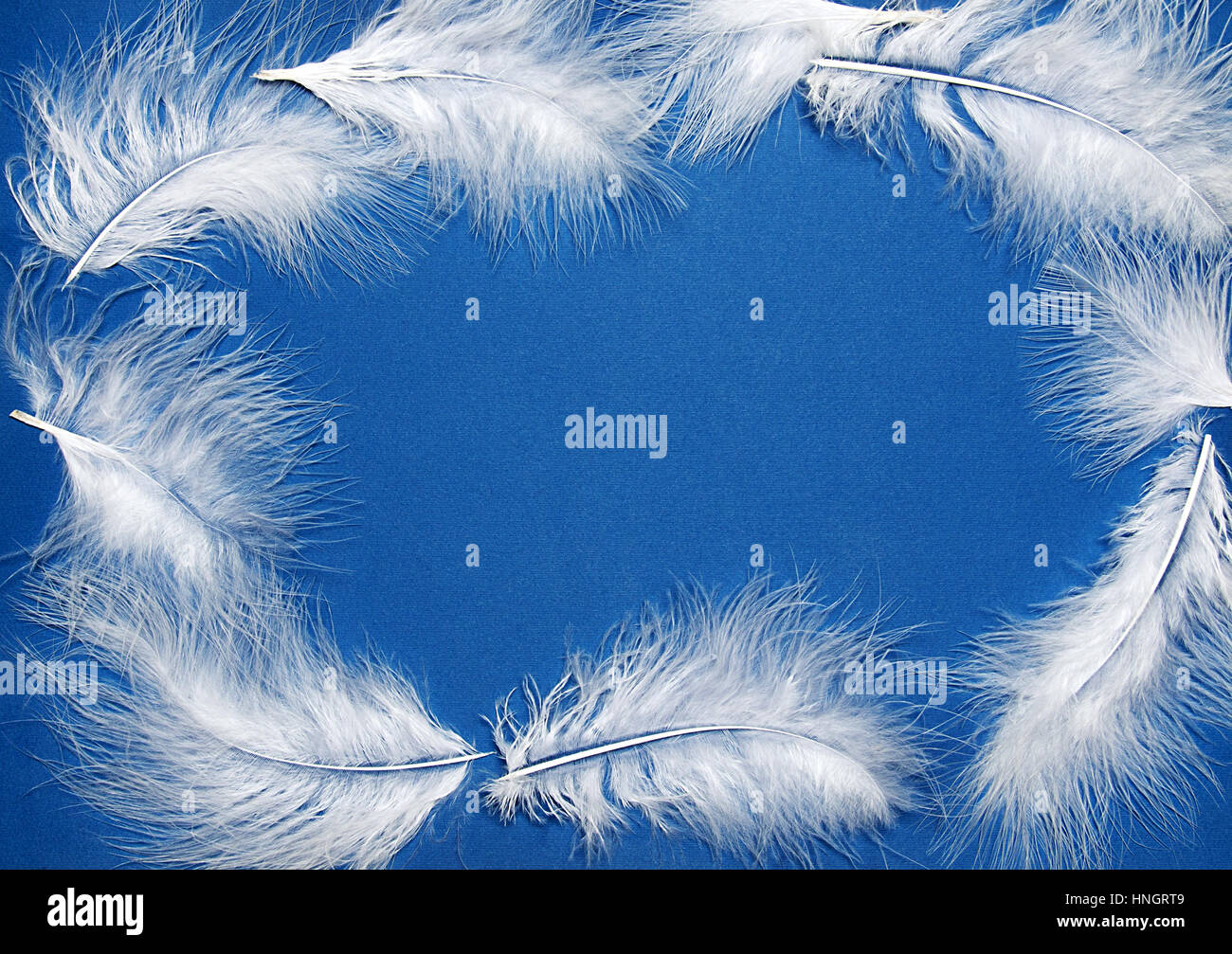 Abstract composition of white feathers on blue background. Frame Stock ...