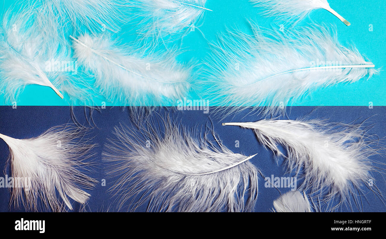 Split color background hi-res stock photography and images - Alamy