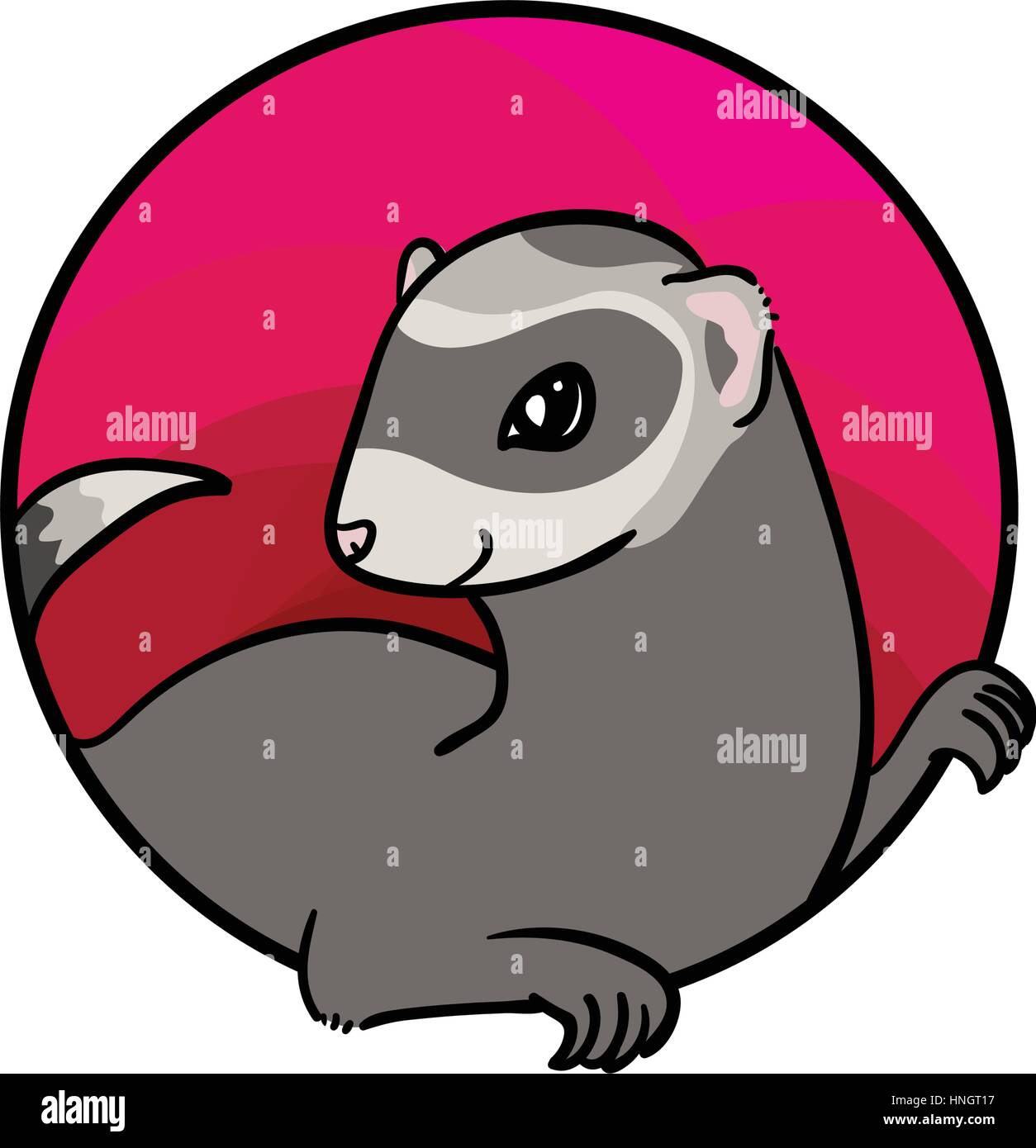 Ferret Stock Vector Images - Alamy
