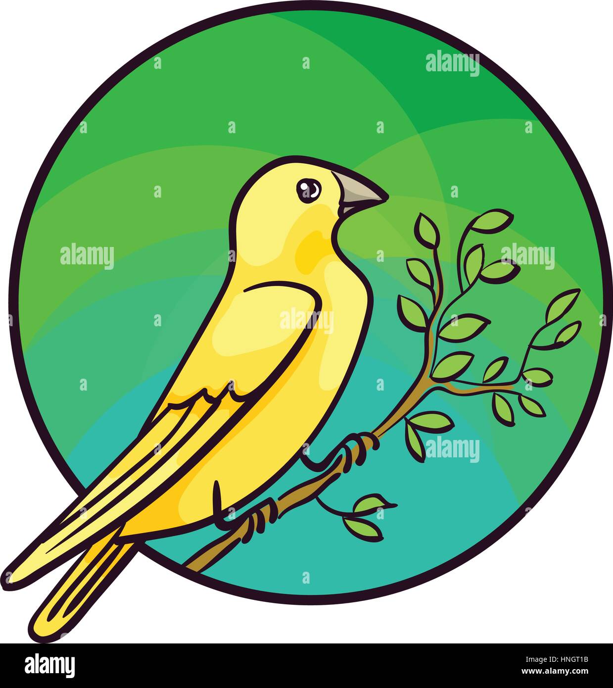 Cartoon Canary High Resolution Stock Photography and Images - Alamy