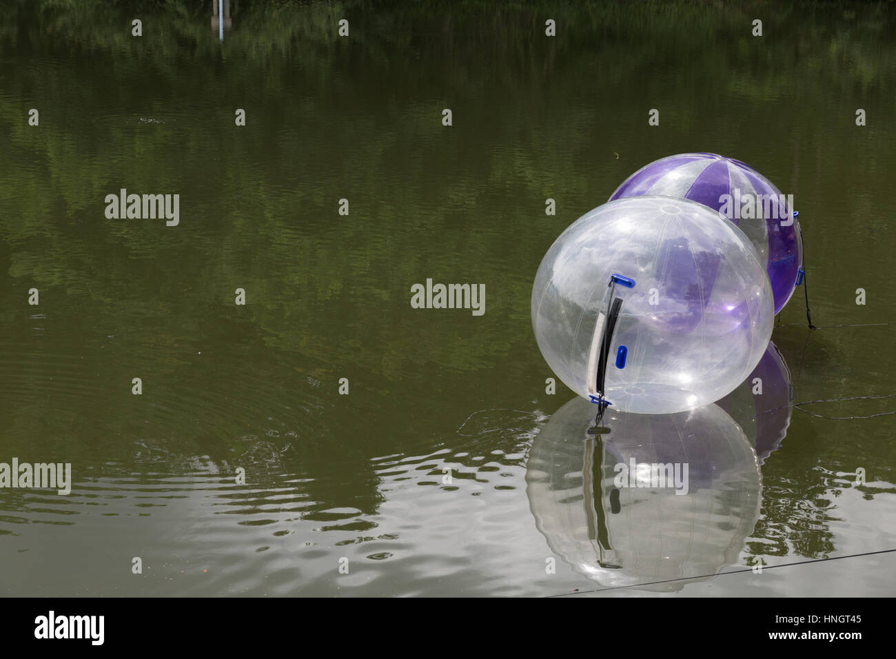inflatable transparent ball in pond - adventure activity Stock Photo ...