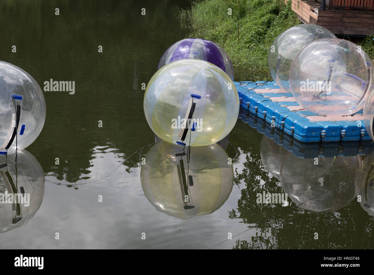 inflatable transparent ball in pond - adventure activity Stock Photo ...