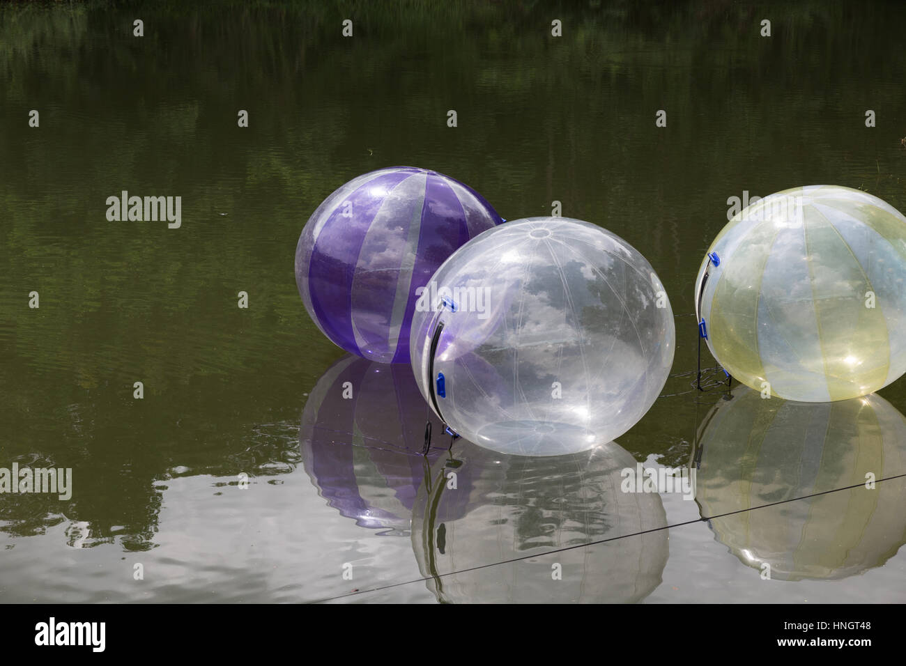 inflatable transparent ball in pond - adventure activity Stock Photo ...