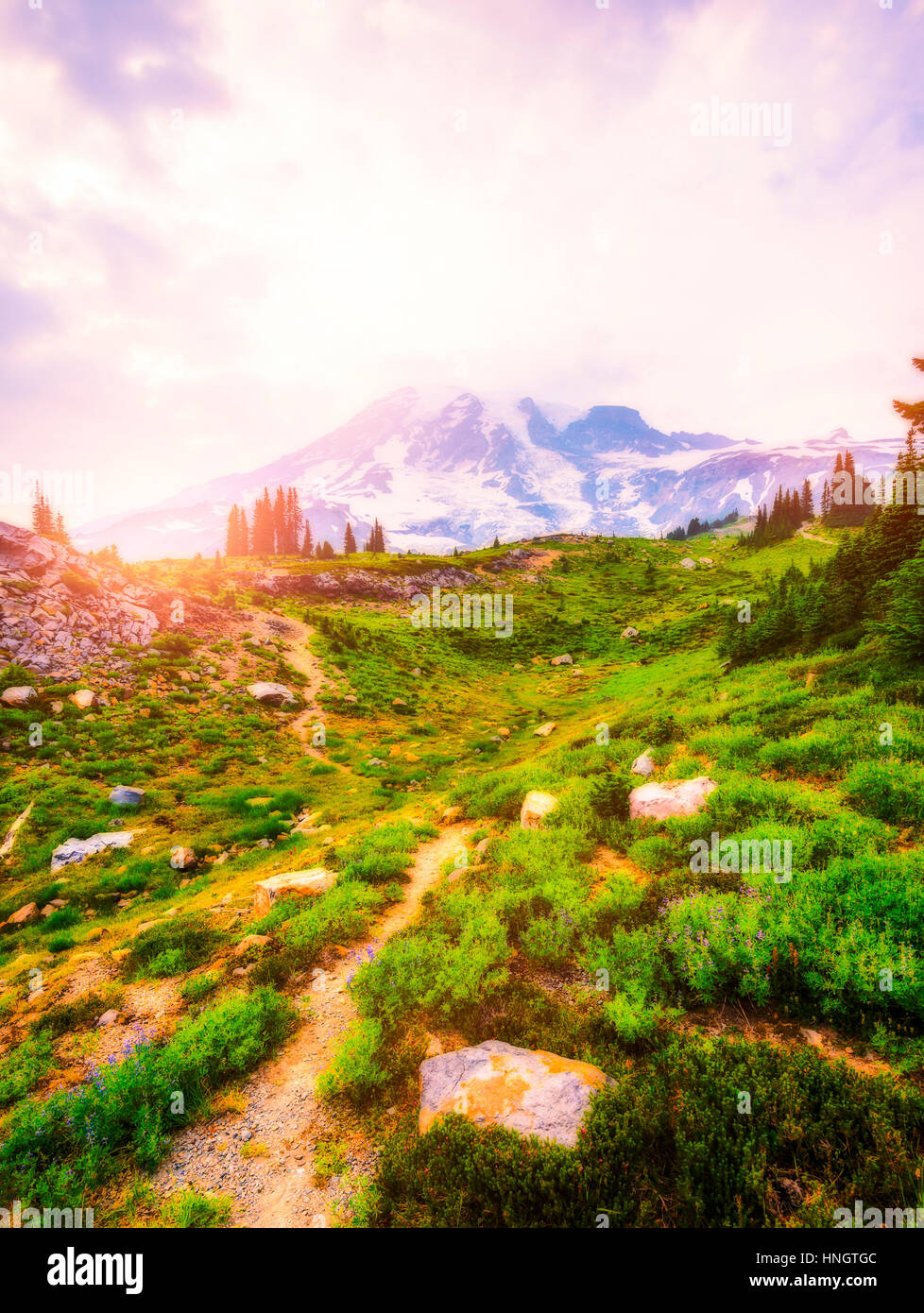sunset at mt Rainier,WAshington,usa Stock Photo - Alamy