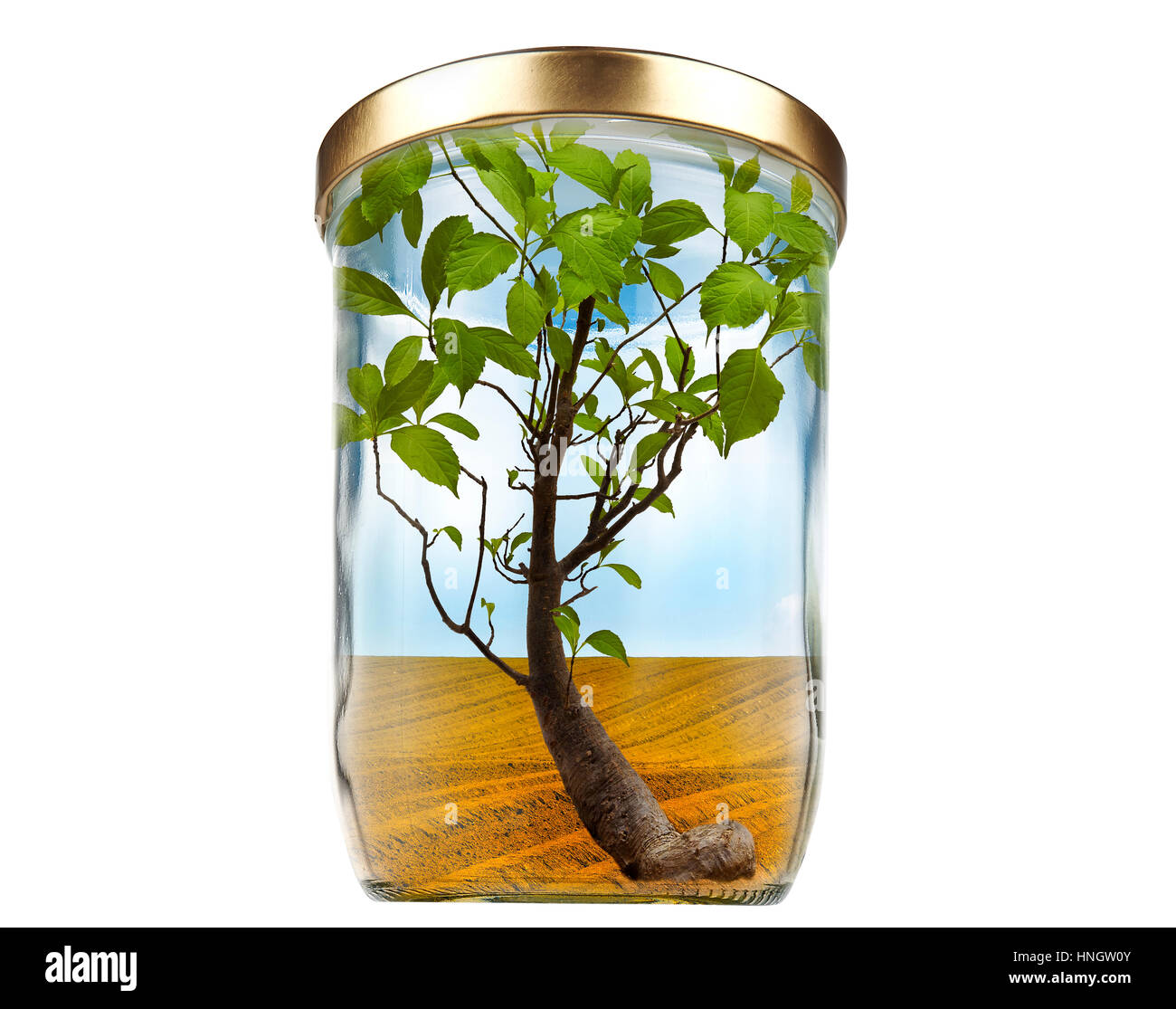 Zero waste success hi-res stock photography and images - Alamy
