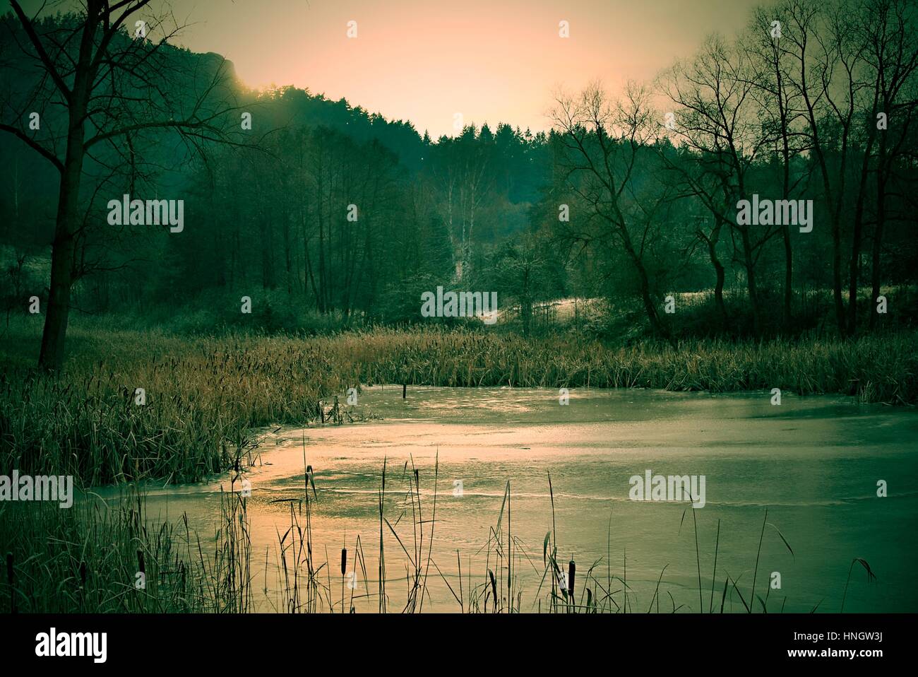 Creapy and haunted dark forest and lake at winter season Stock Photo ...