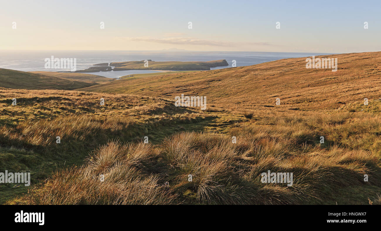 Foula hi-res stock photography and images - Alamy