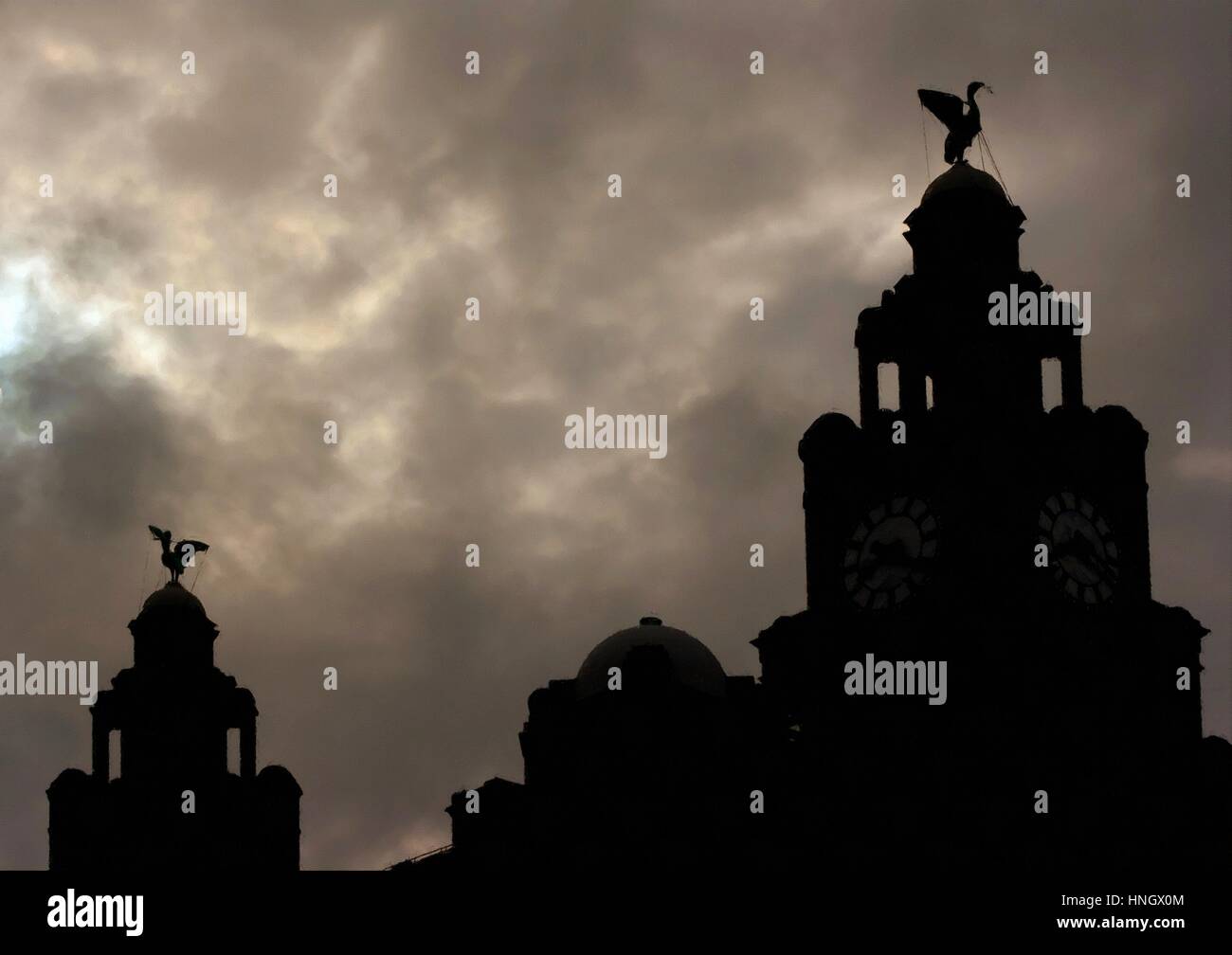 The liver building painting hi-res stock photography and images - Alamy
