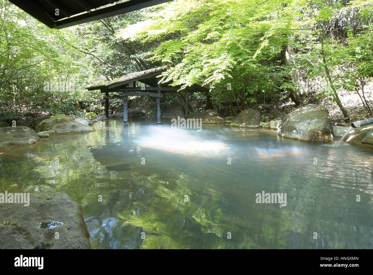 The outdoor hot spring Stock Photo - Alamy