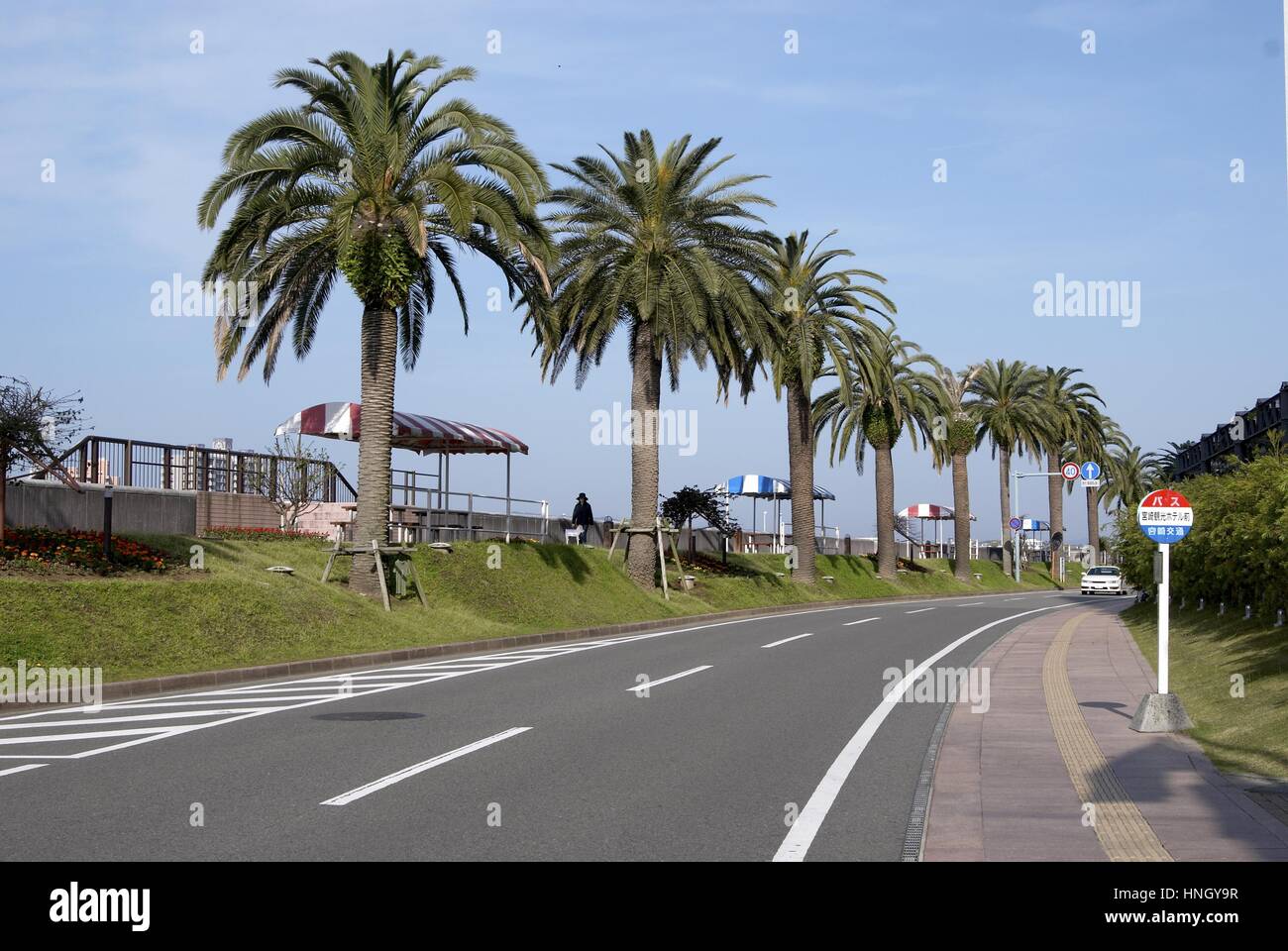 highway and coconut tree Stock Photo - Alamy