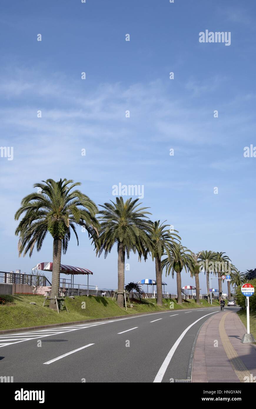 highway and coconut tree Stock Photo - Alamy
