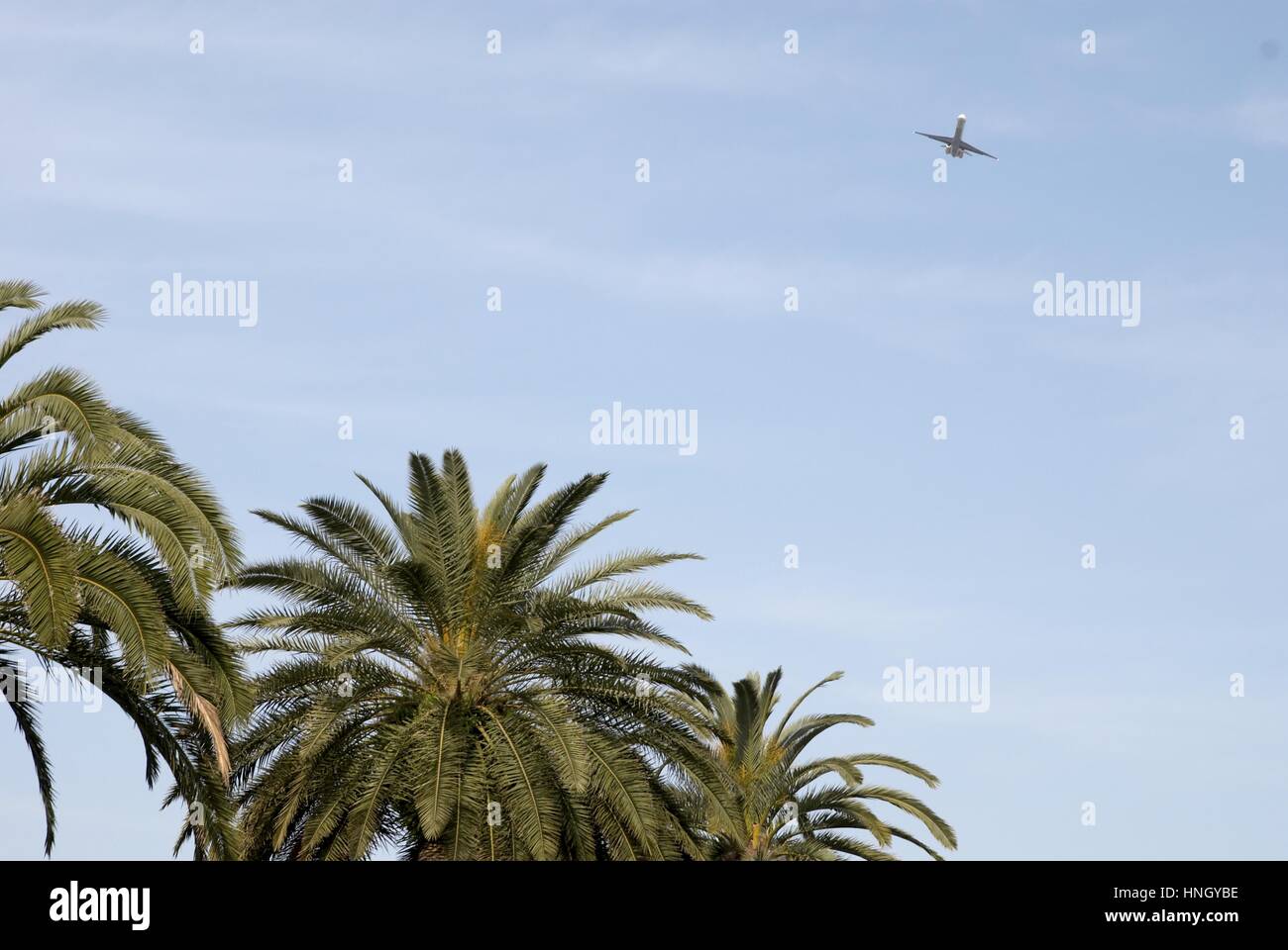 highway and coconut tree Stock Photo - Alamy