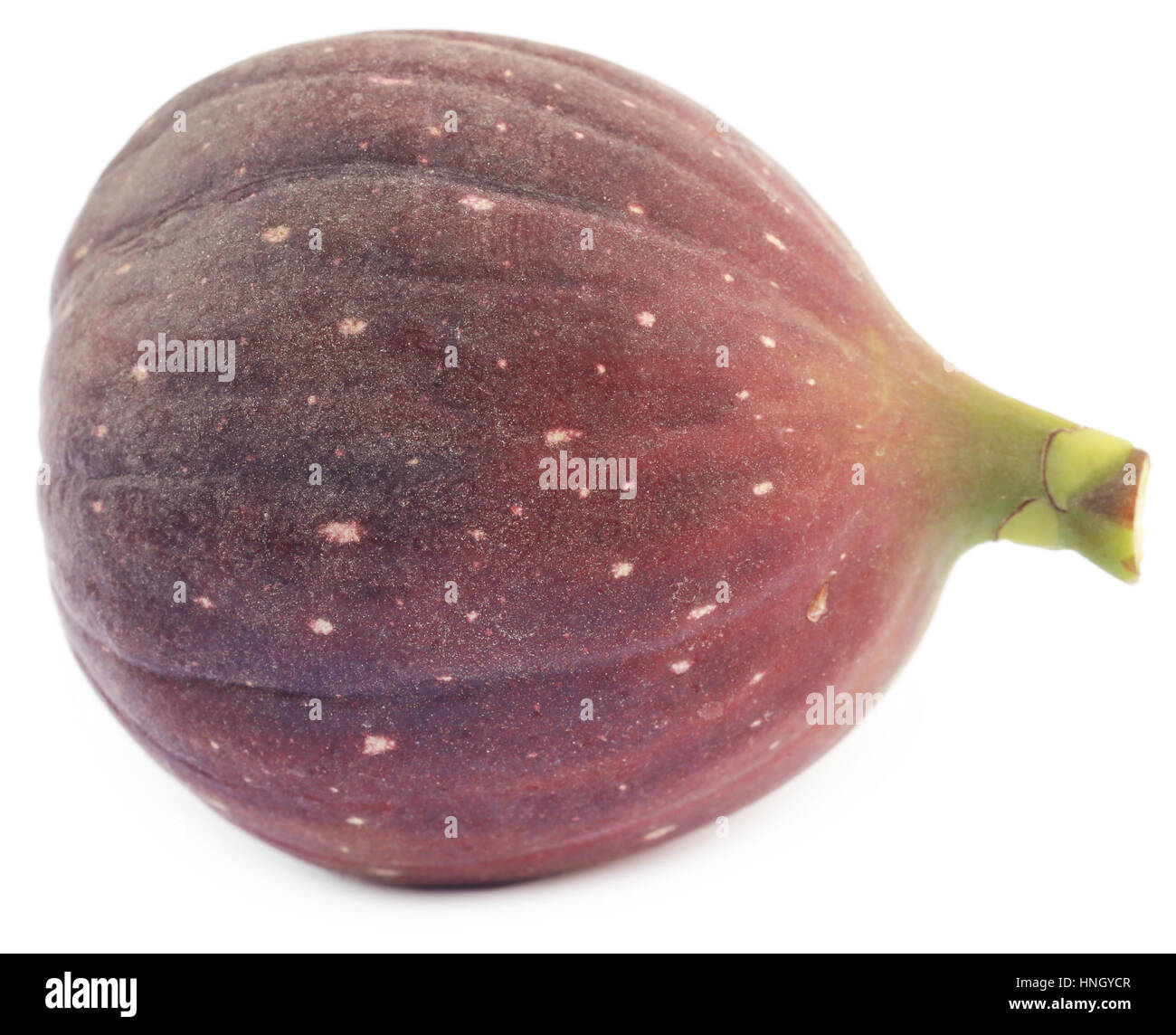 Fresh organic common fig over white background Stock Photo - Alamy