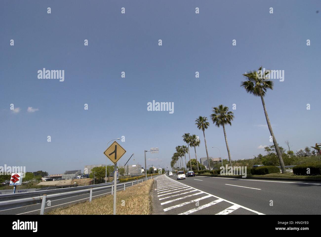 highway and coconut tree Stock Photo - Alamy