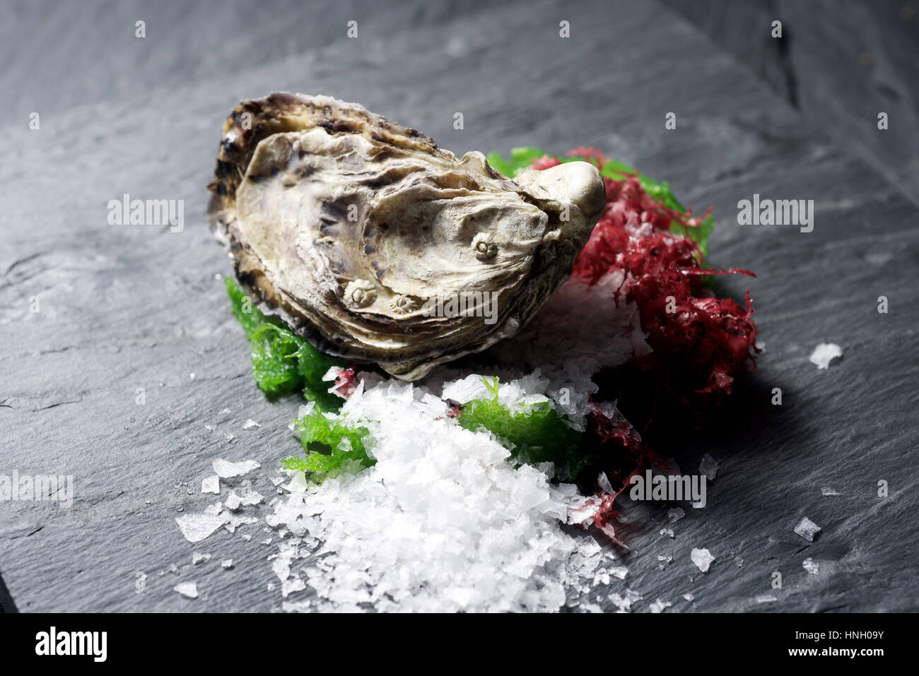 Raw oyster with salt and mix seaweed on slate Stock Photo - Alamy