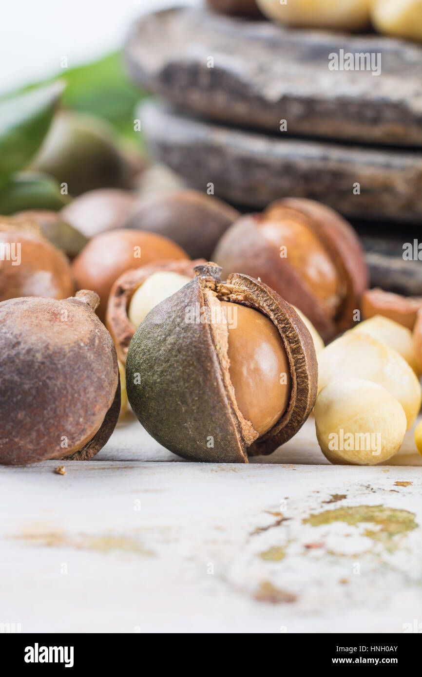 Macadamia nuts harvest close up Stock Photo - Alamy