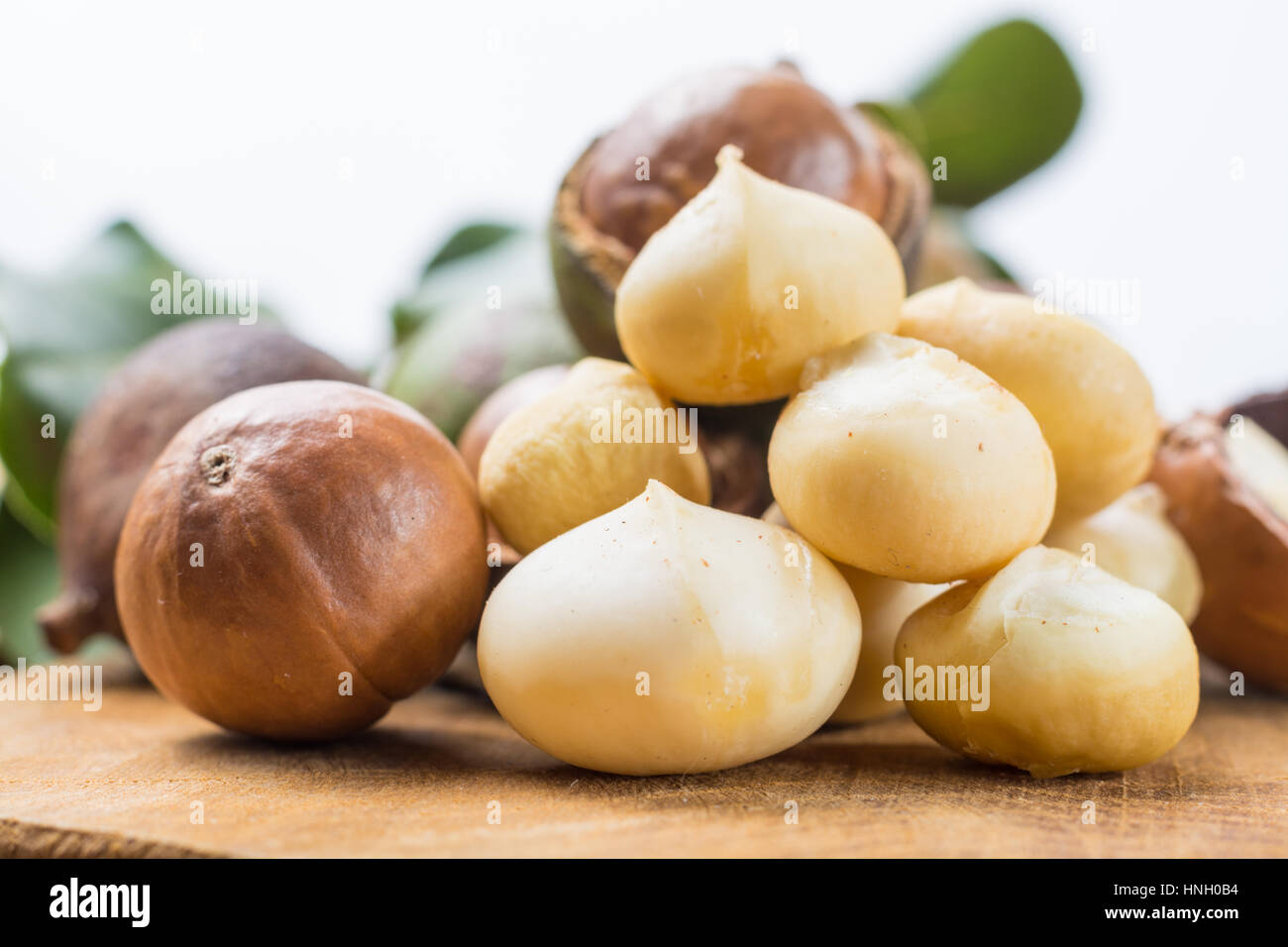 Macadamia nuts harvest close up Stock Photo - Alamy