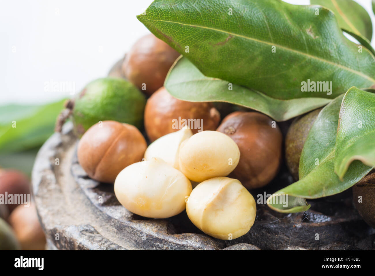 Macadamia plantation south africa hi-res stock photography and images ...