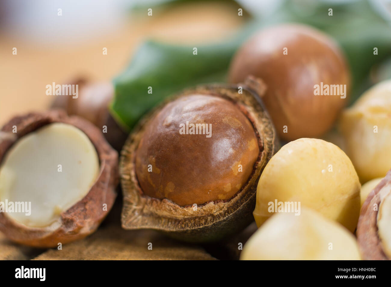 Macadamia nuts new zealand hi-res stock photography and images - Alamy