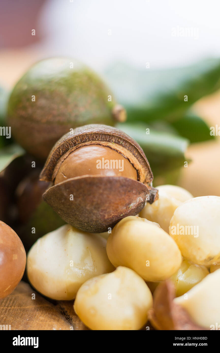 Macadamia nuts harvest close up Stock Photo - Alamy