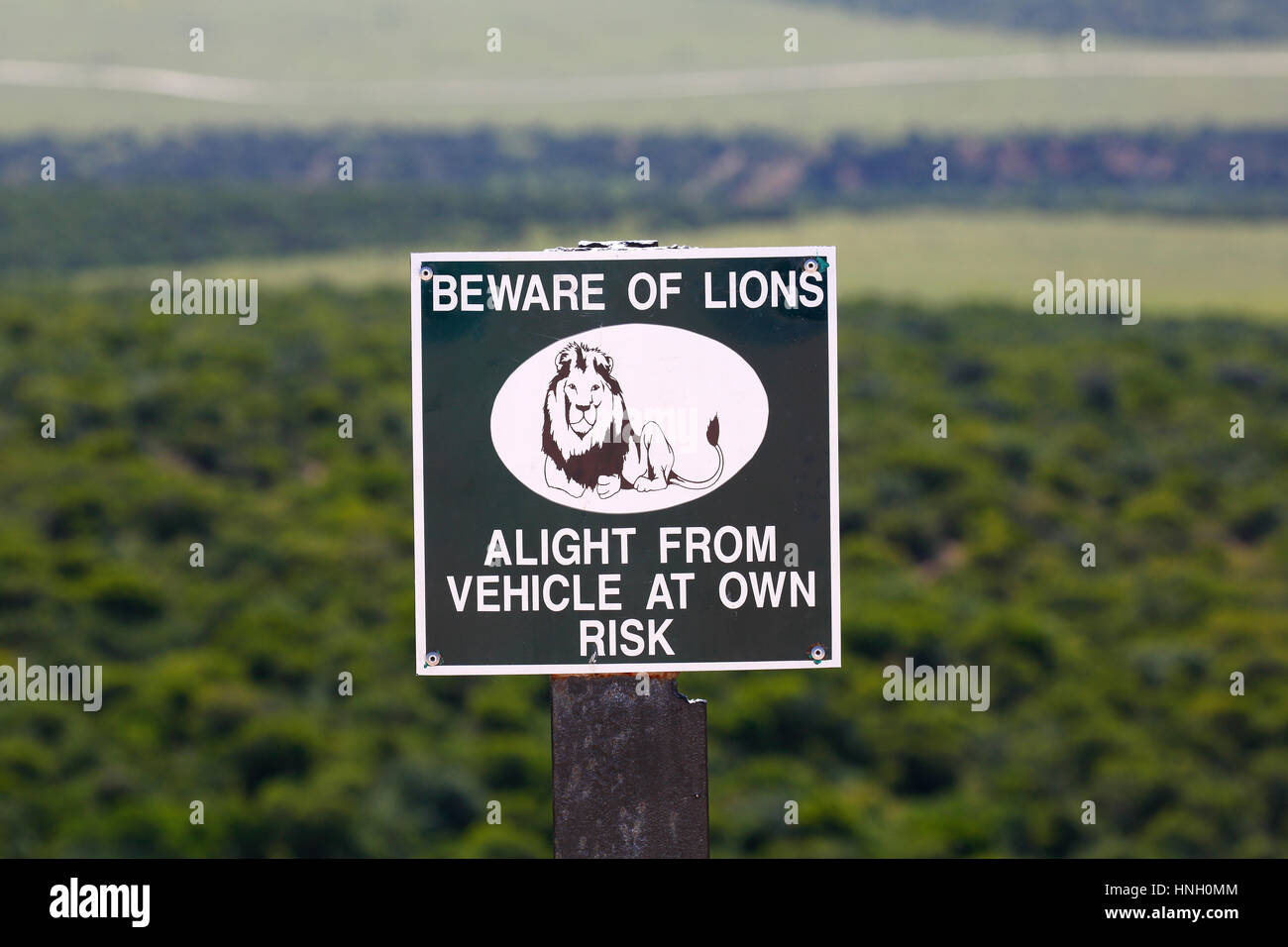 Beware of lions sign hi-res stock photography and images - Alamy