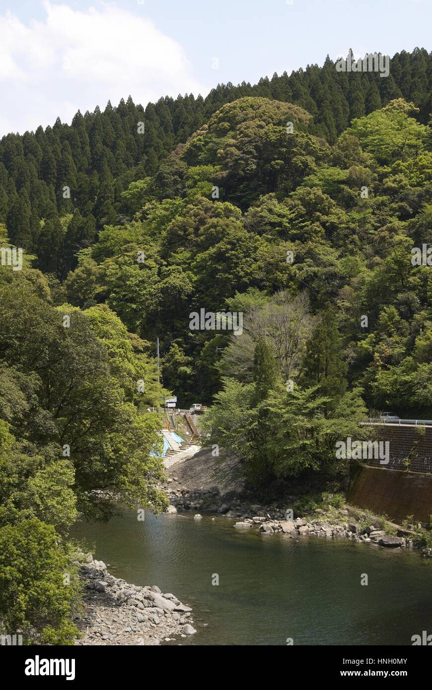 Gree japan hi-res stock photography and images - Alamy