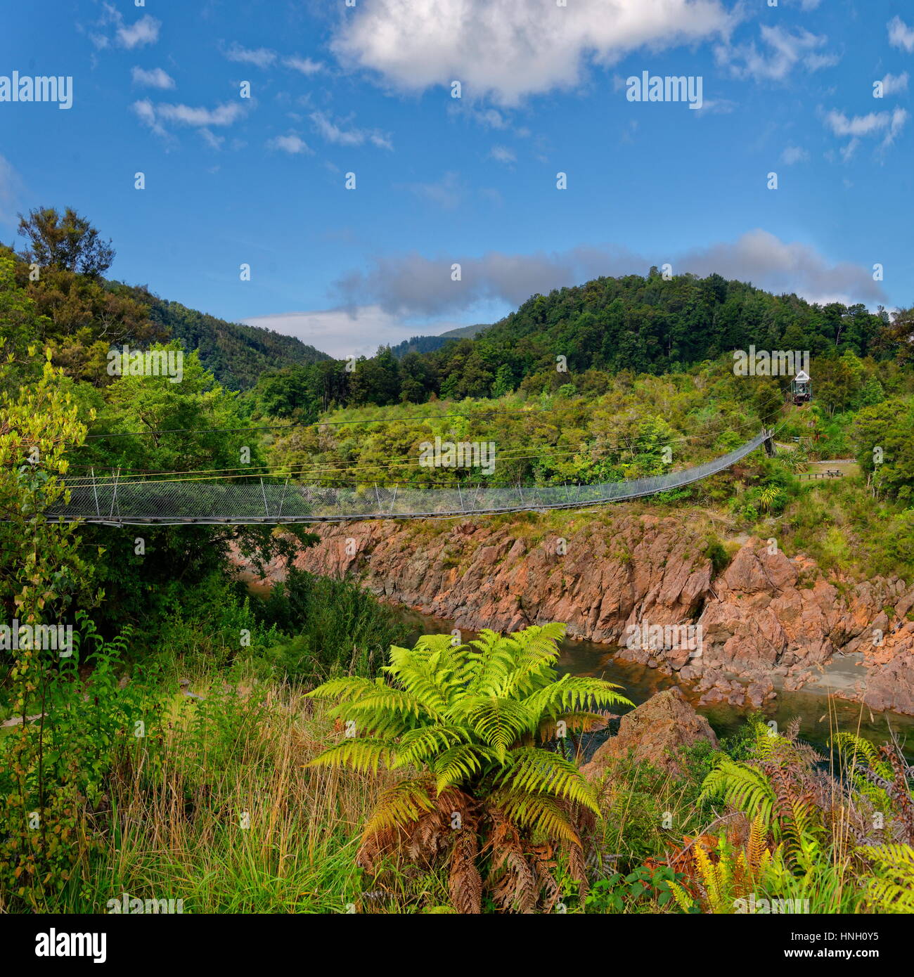 Buller Gorge Swing Bridge across Buller River, Tasman Region, Southland ...