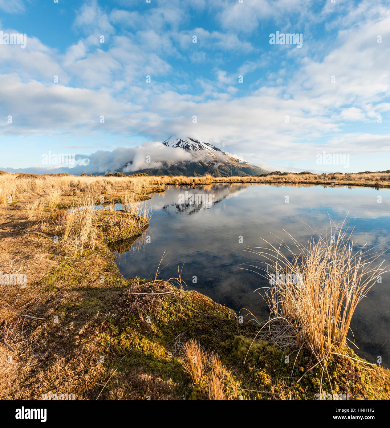 Reflection in Puakai Tarn, stratovolcano Mount Taranaki or Mount Egmont ...