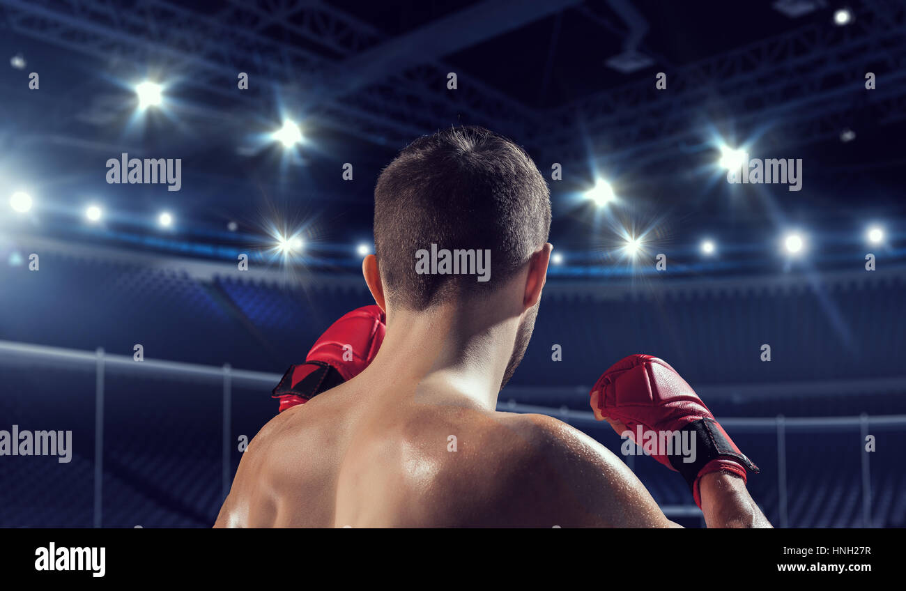 Professional box fighter on grand arena. Mixed media Stock Photo - Alamy