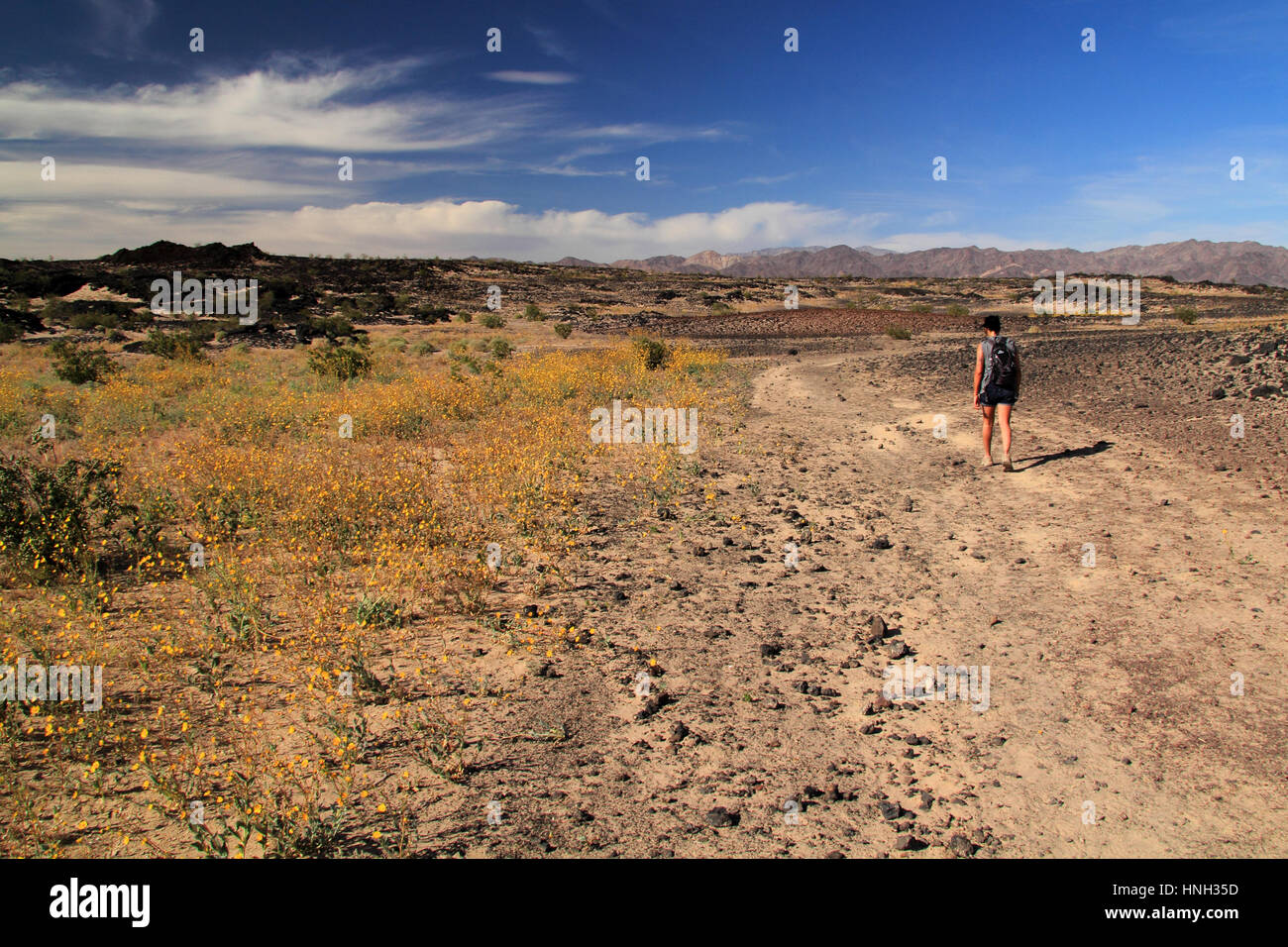 Amboy crater volcano desert hi-res stock photography and images - Alamy
