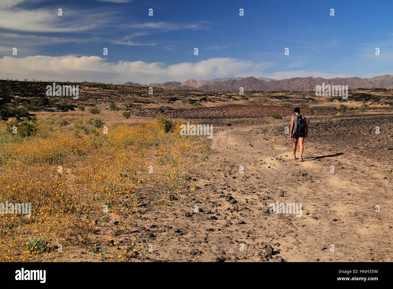 Amboy crater volcano desert hi-res stock photography and images - Alamy