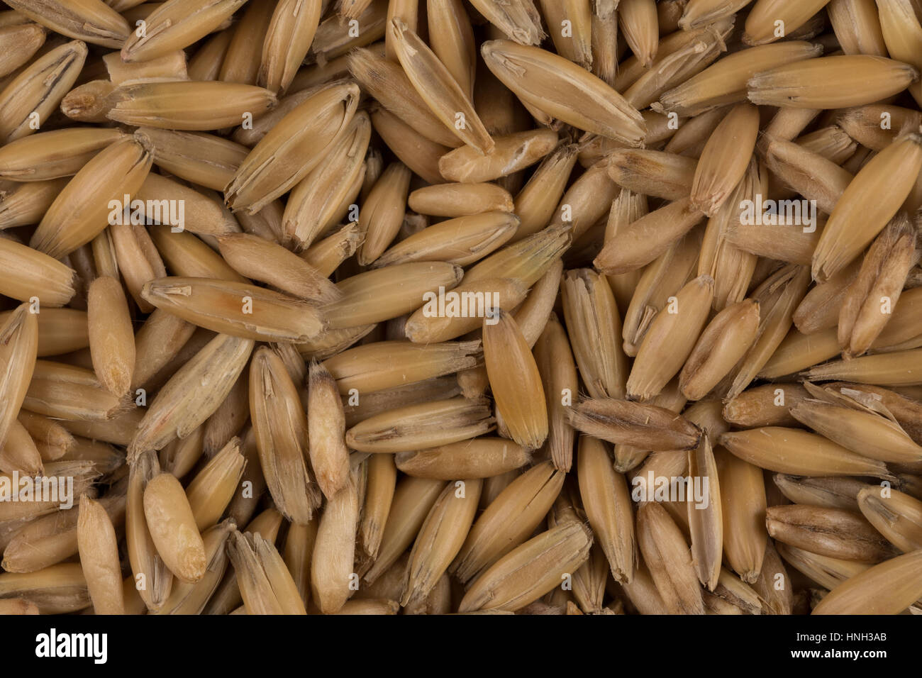 natural oat grains for background, close up shot Stock Photo - Alamy