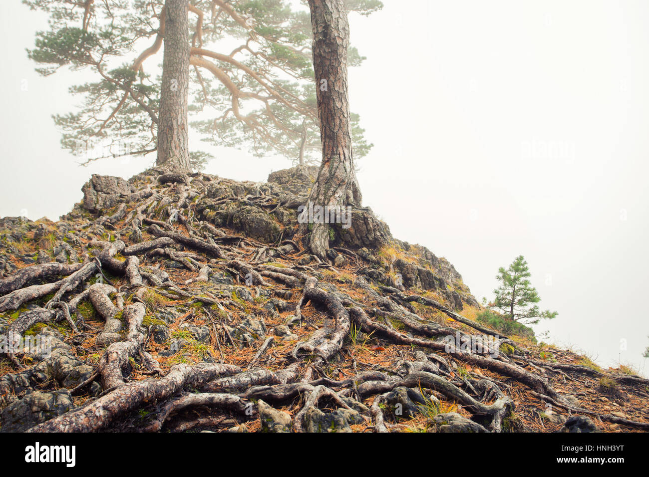 The abyss of time hi-res stock photography and images - Alamy
