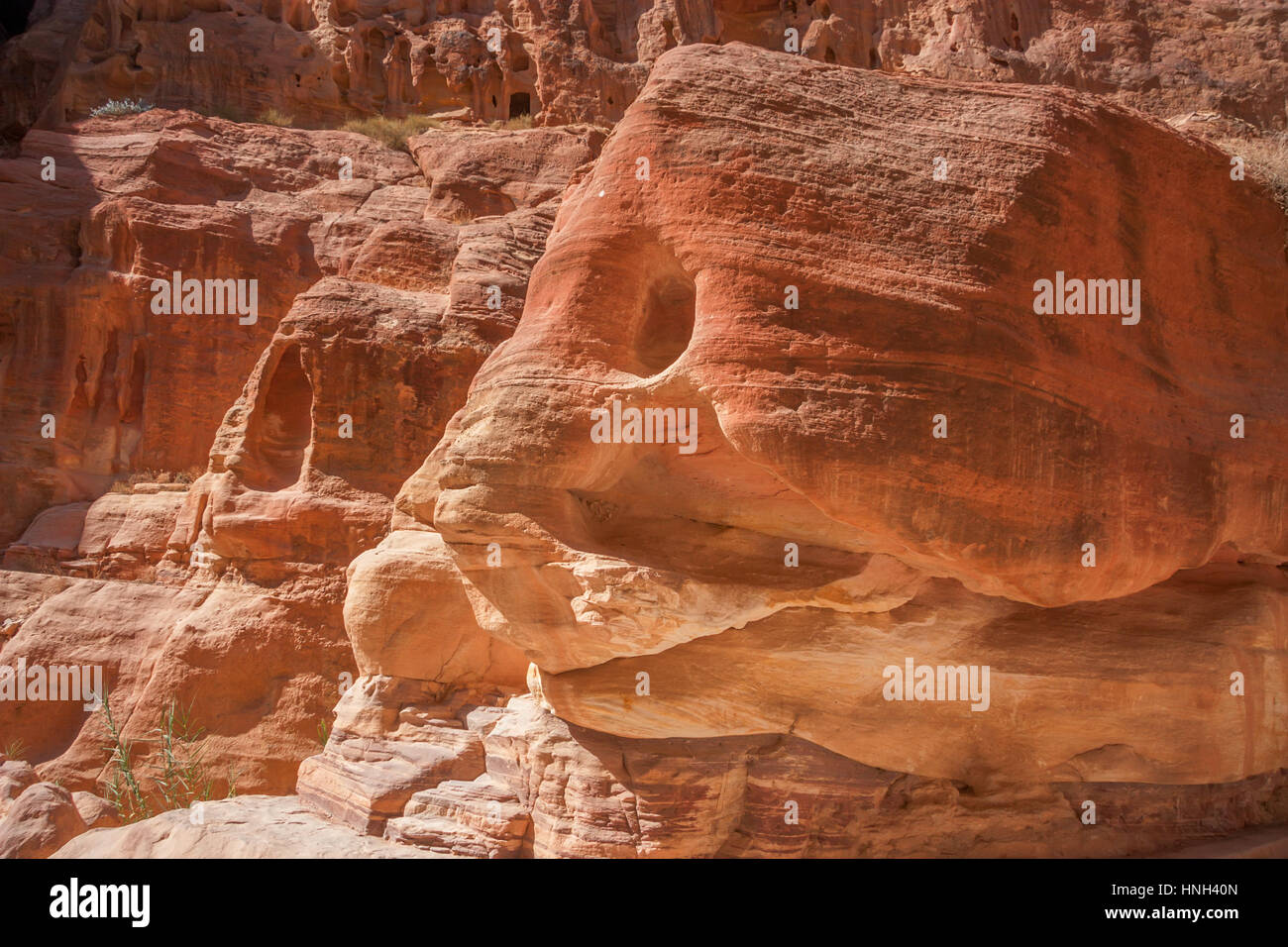 Rocks of pink sandstone resembling fish in Siq canyon in Petra, Jordan ...