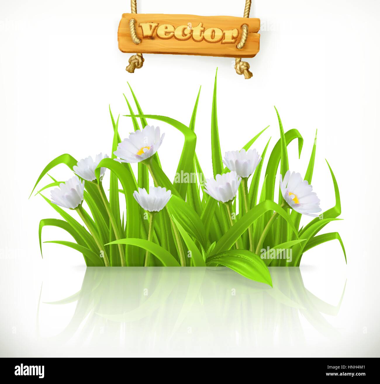 Green grass lawn 3d Stock Vector Images - Alamy