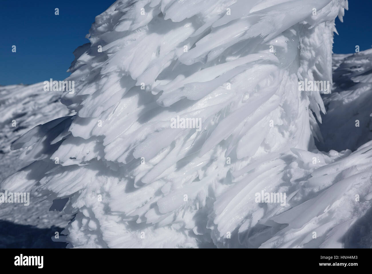 Rime ice on the summit of Mount Washington in the White Mountains, New ...