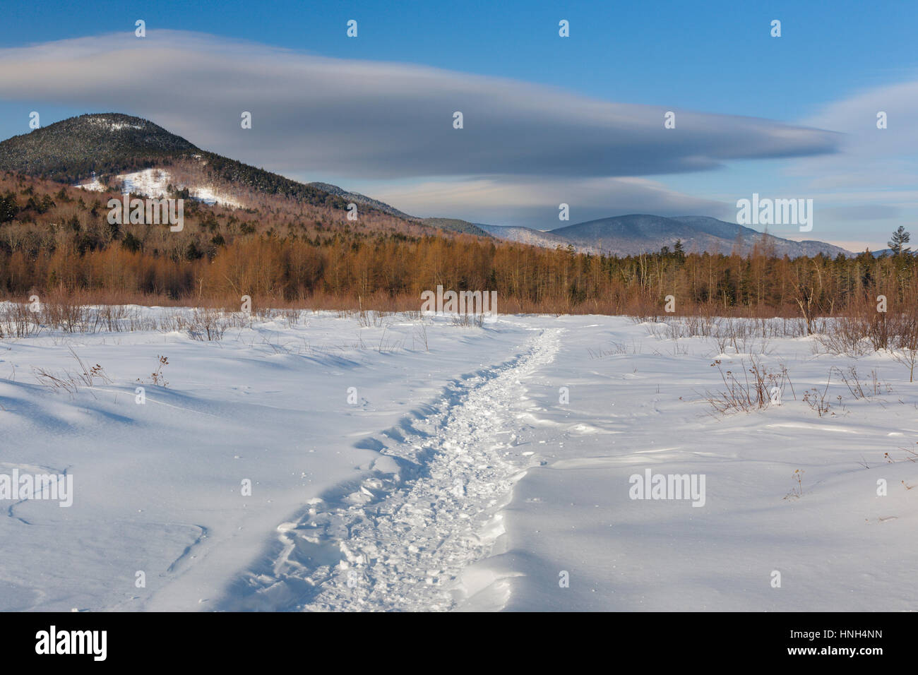 Swift river timber harvest hi-res stock photography and images - Alamy