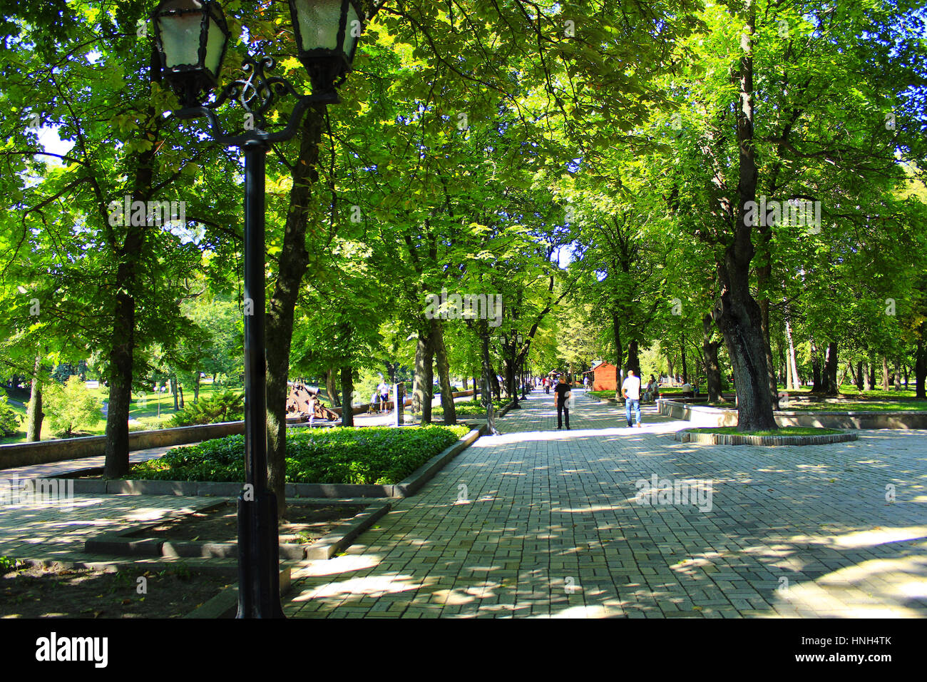 Beautiful park with nice promenade path and high green trees Stock ...