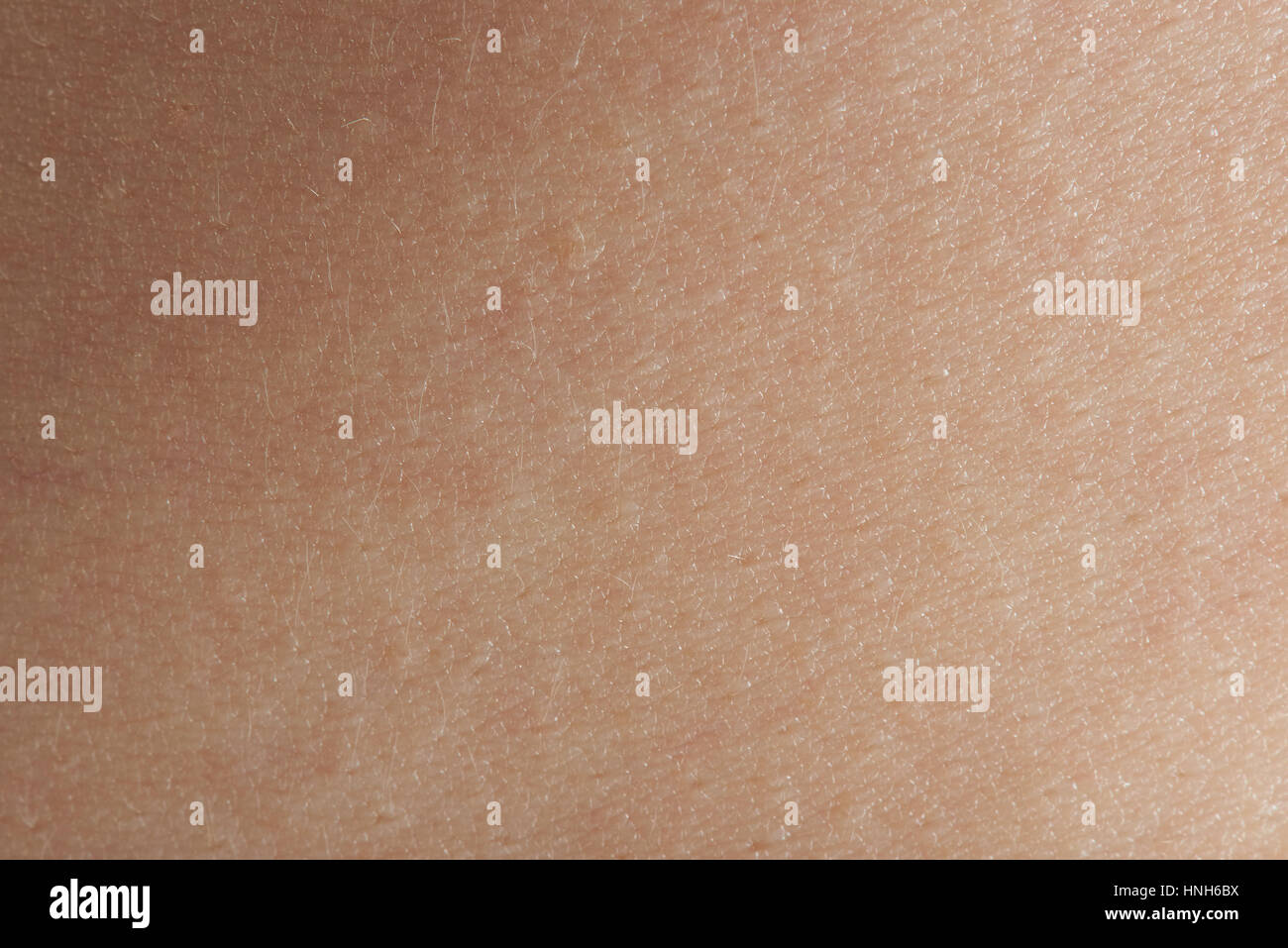 Dark tan human skin macro. Close up of hispanic man skin Stock Photo ...