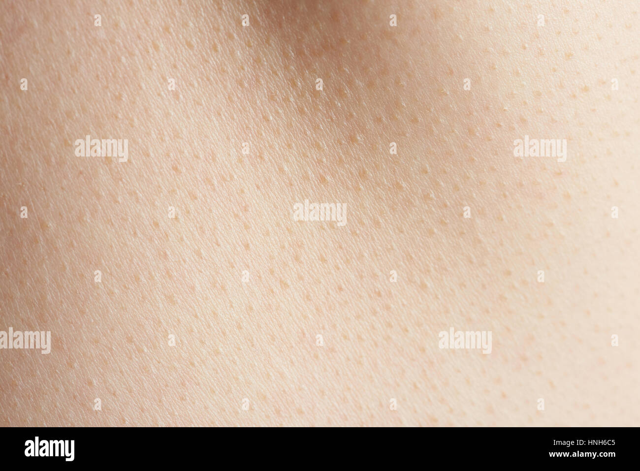 Human body graphic hi-res stock photography and images - Alamy